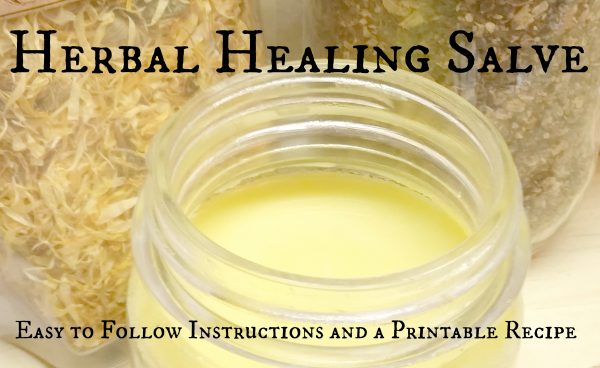 Herbal Healing Salve | Herbal Salve | Medicinal Herbs