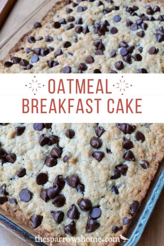 Oatmeal Breakfast Cake... and the Best Reason to Be Exhausted! - The ...