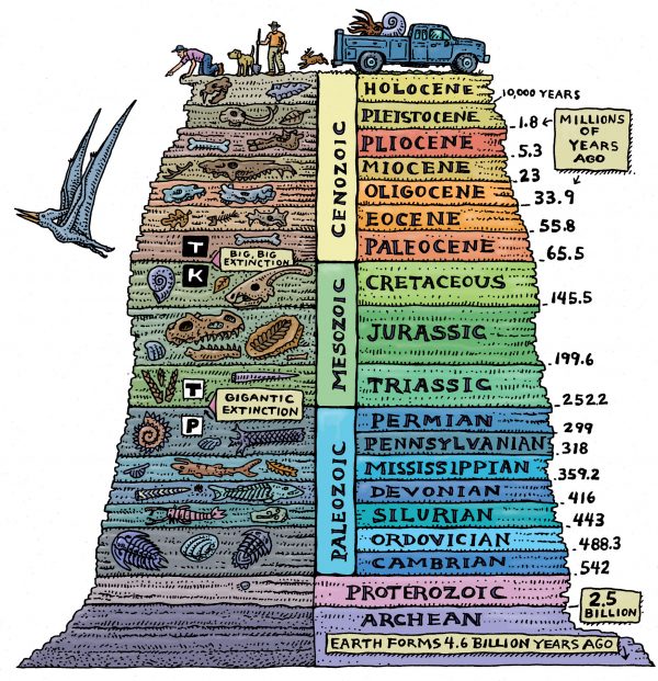 Fact or Fraud: 4 Common Science Textbook Errors - The Sparrow's Home