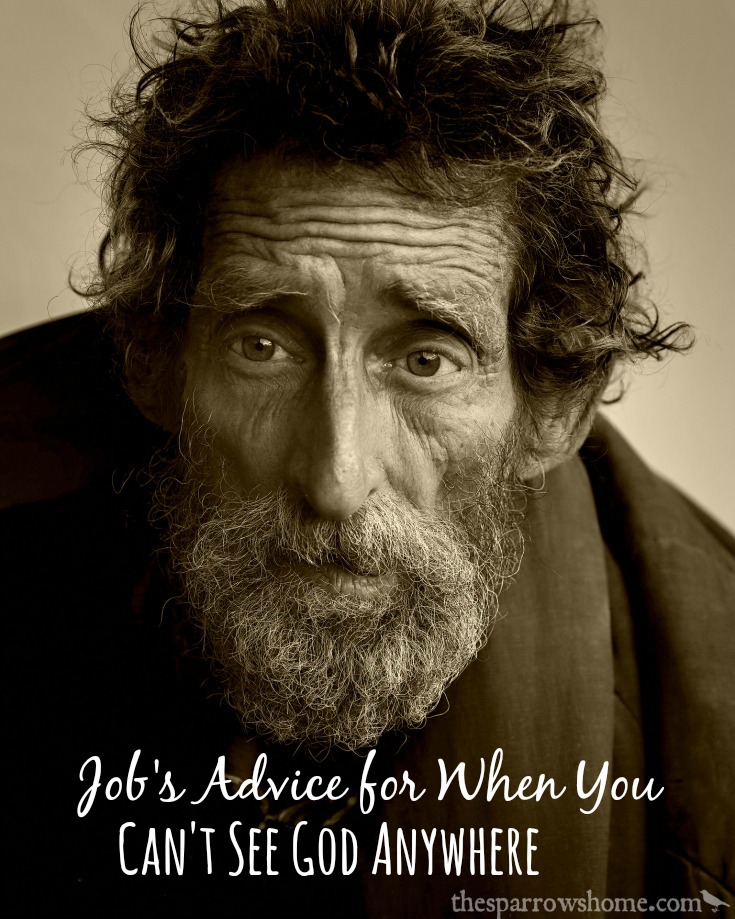 When You Can't See God Anywhere - The Sparrow's Home