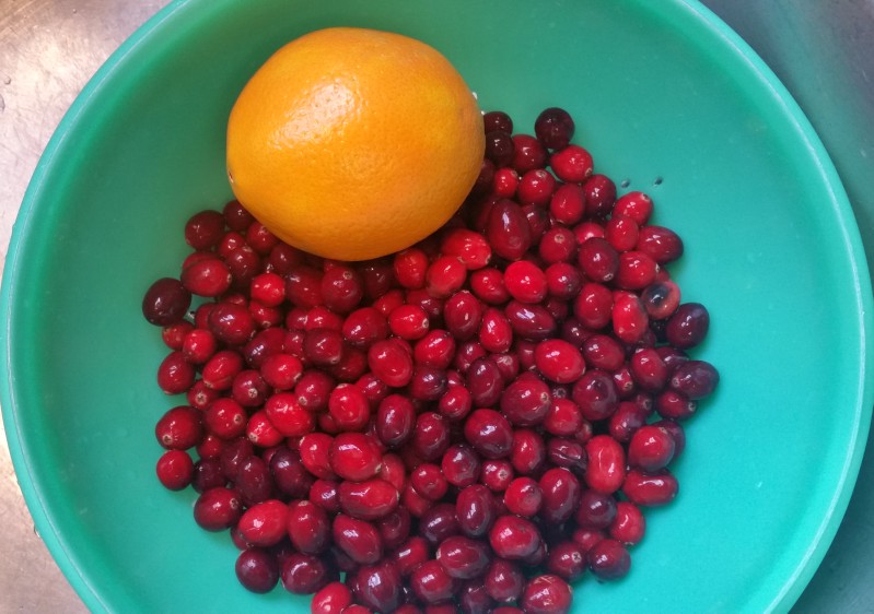 Super Fresh & Simple Orange Cranberries - The Sparrow's Home