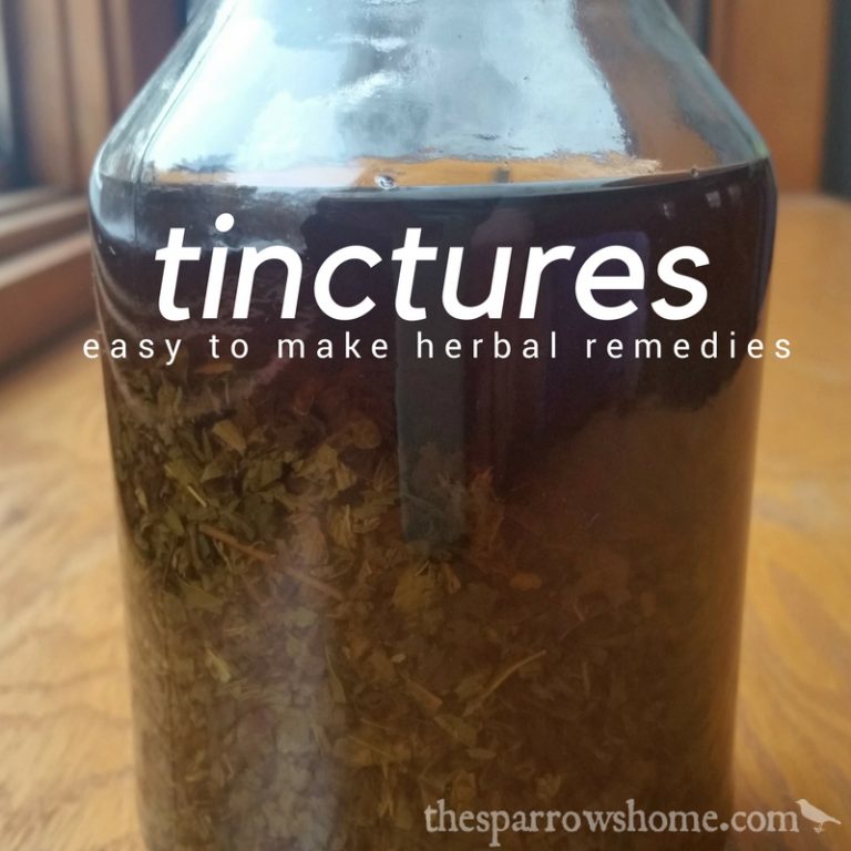 Tinctures: One of the Most Effective Ways to Take Herbal Medicine - The ...