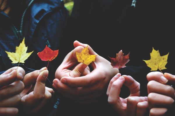 This science curriculum with a Biblical worldview teaches critical ...