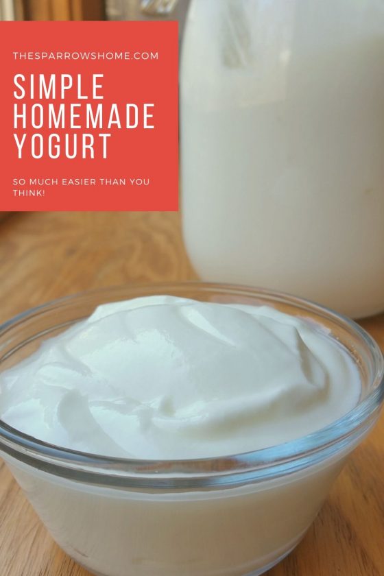 Homemade yogurt is easier than you think! - The Sparrow's Home